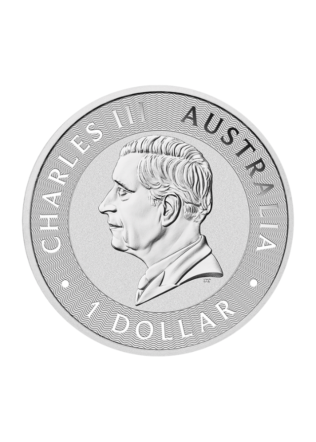 Moneda argint Cangur 2025 Australia 31.10 gr - 1110129 – AnneBebe